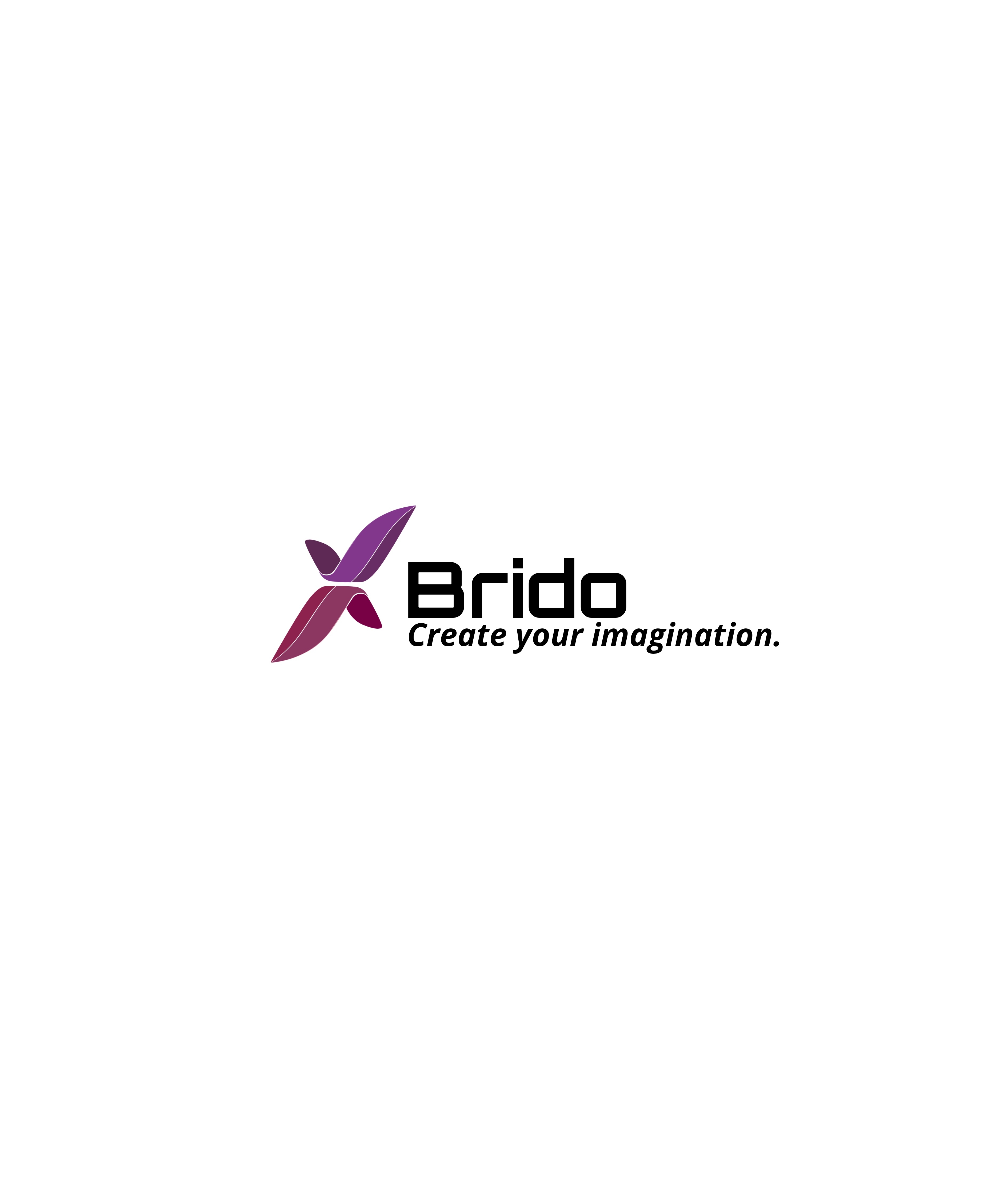 BRIDO HOLDINGS LTD